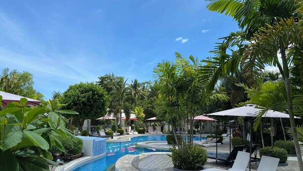 Piscina com espreguiçadeiras e guarda-sóis, cercada por plantas tropicais e um céu claro.