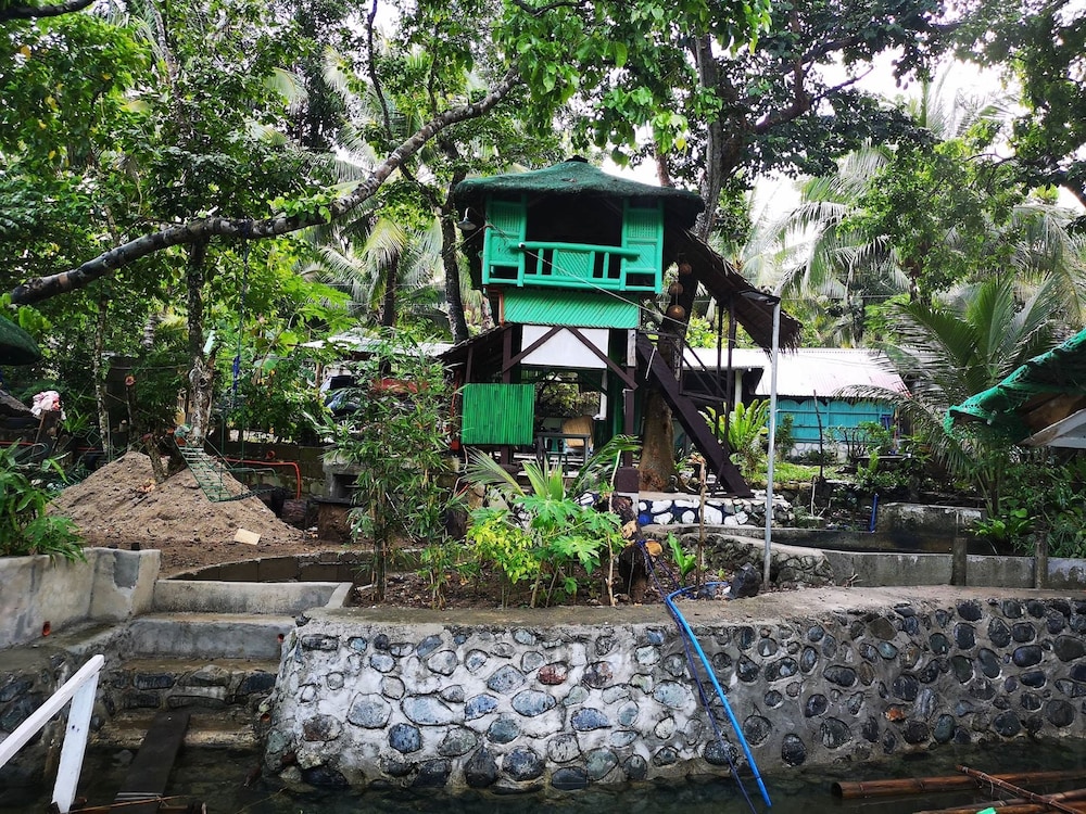 Nature Green Forest Resort - Baler