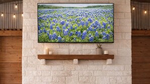 Uma lareira com fogo, uma televisão montada acima dela e um campo de flores azuis ao fundo.