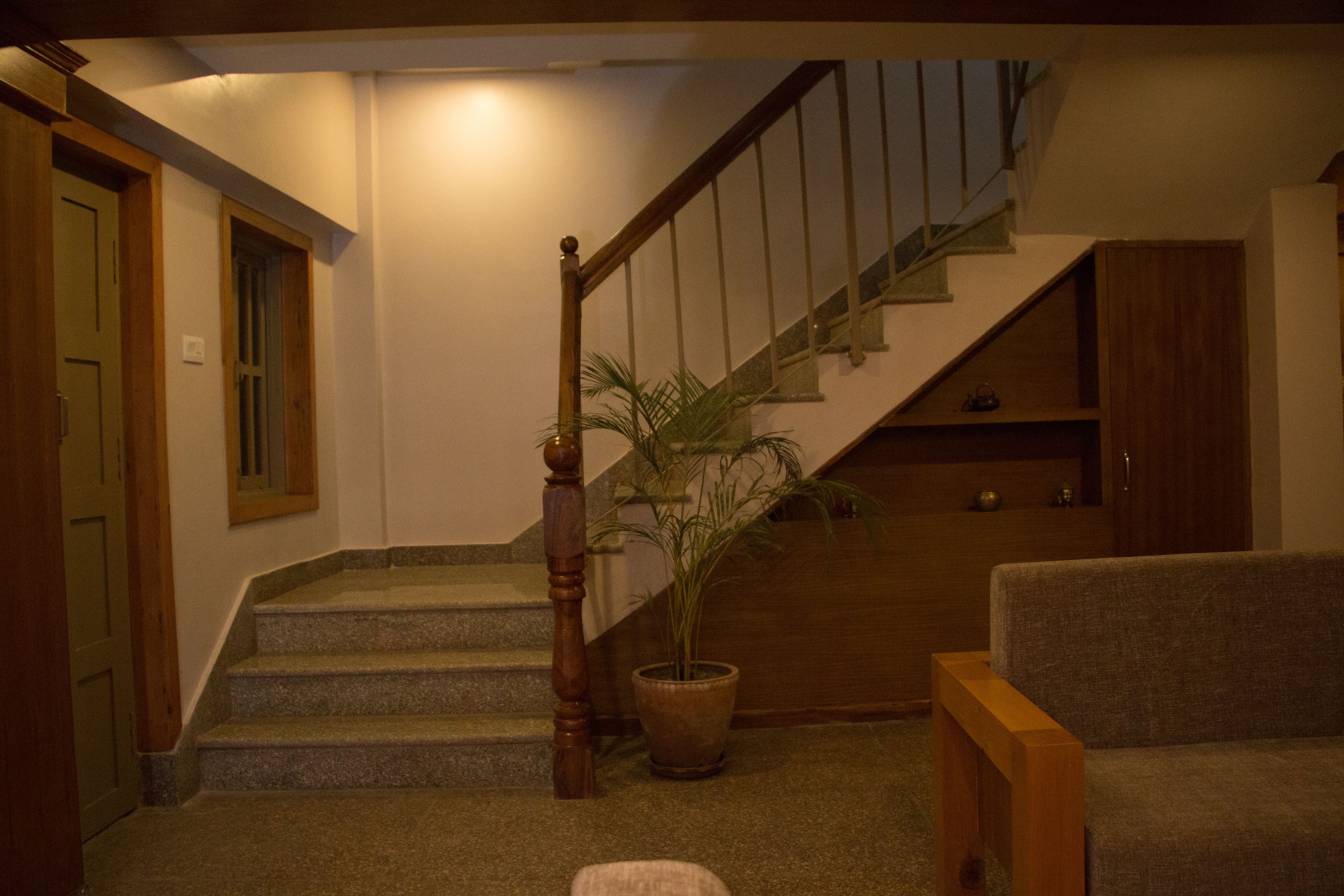 Uma escadaria com corrimão de madeira, degraus carpetados e um vaso de planta.