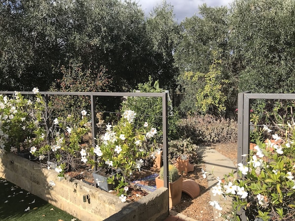 Treehouse In The Australian Bush! - 문더링