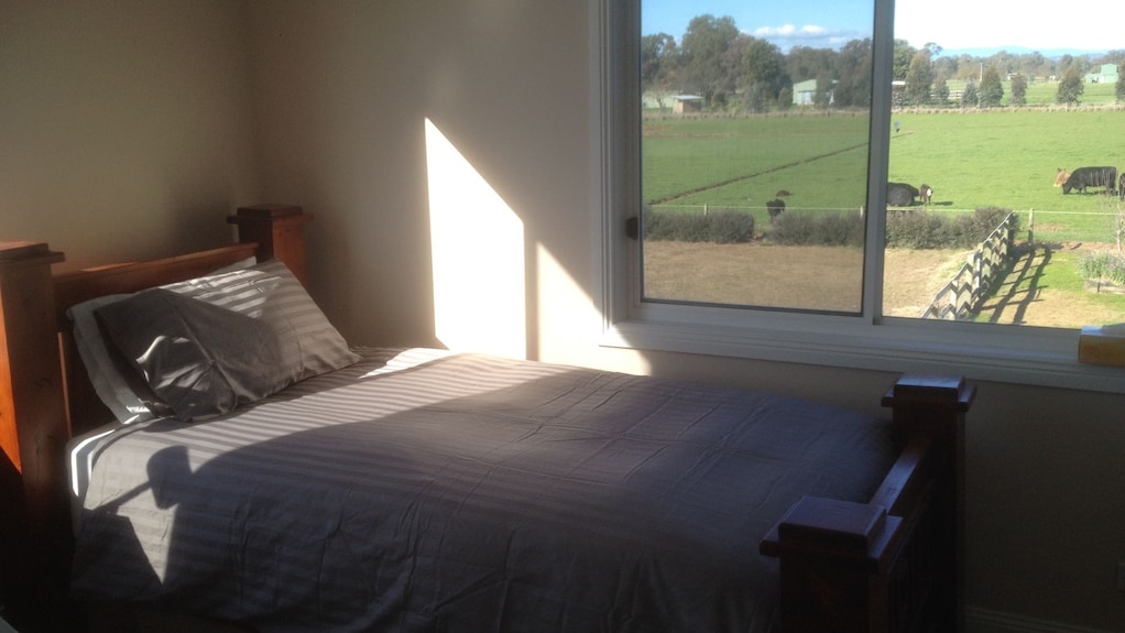 Jackaleah Farm Remain Oxley - Wangaratta