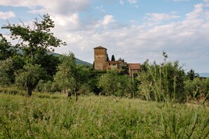 Rustic Castle in Nature for Large Groups/Weddings/Events - Pelago | Vrbo