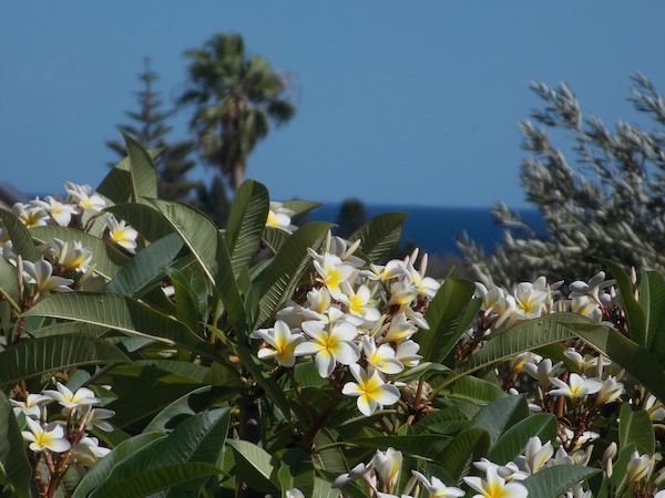 \"Kallaroo Garden Cottage\" - Close To Magnificent Beaches! - Perth