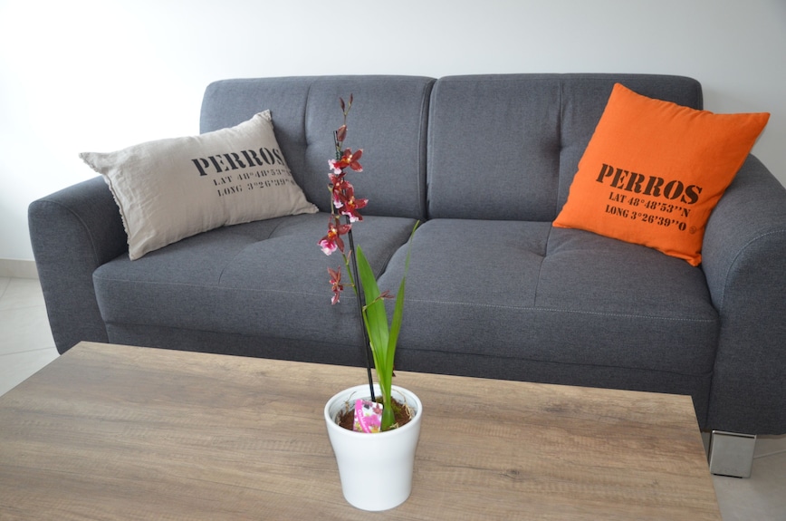 Appartement 3 éToiles Très Récent - Plage De Trestraou - Lannion