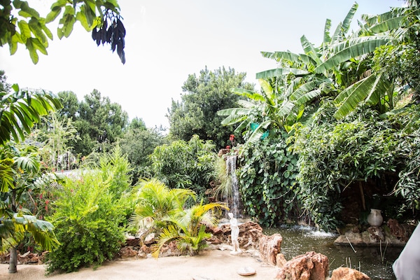 Vista para o jardim