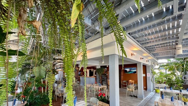 Restaurante interno com plantas pendentes, mesas e cadeiras de madeira.