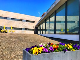 Terrenos do alojamento