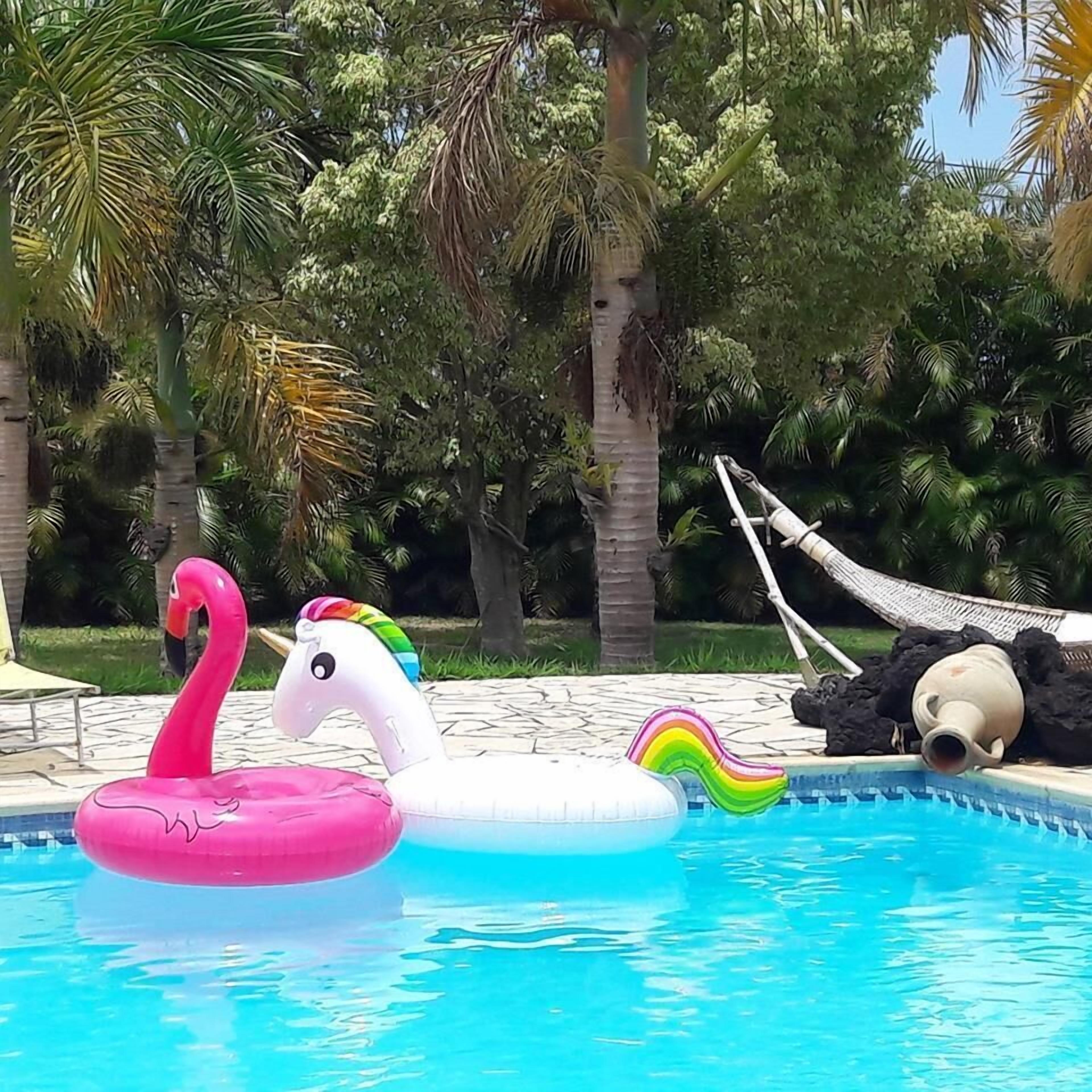 Piscina exterior, guarda-sóis, espreguiçadeiras 