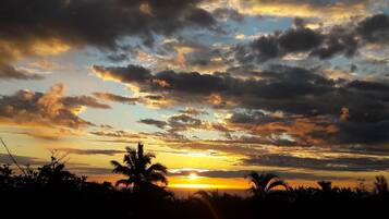 Pôr do sol com nuvens e silhuetas de palmeiras.