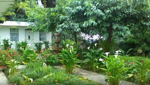Um jardim com diversas plantas e flores, um caminho e um edifício branco com janelas e porta.