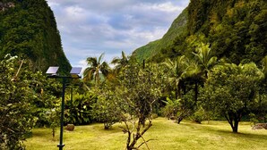 Um jardim exuberante com uma pequena árvore, um poste de luz solar e uma área gramada.