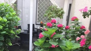 Um jardim com diversas plantas e flores, incluindo hortênsias cor-de-rosa e folhagem verde.
