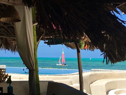 Driftwood Beach Lodge