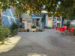 Um pátio com escadaria, plantas em vasos e cadeiras vermelhas.