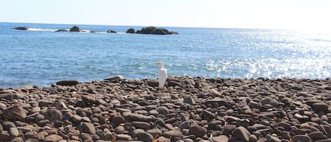 Praia