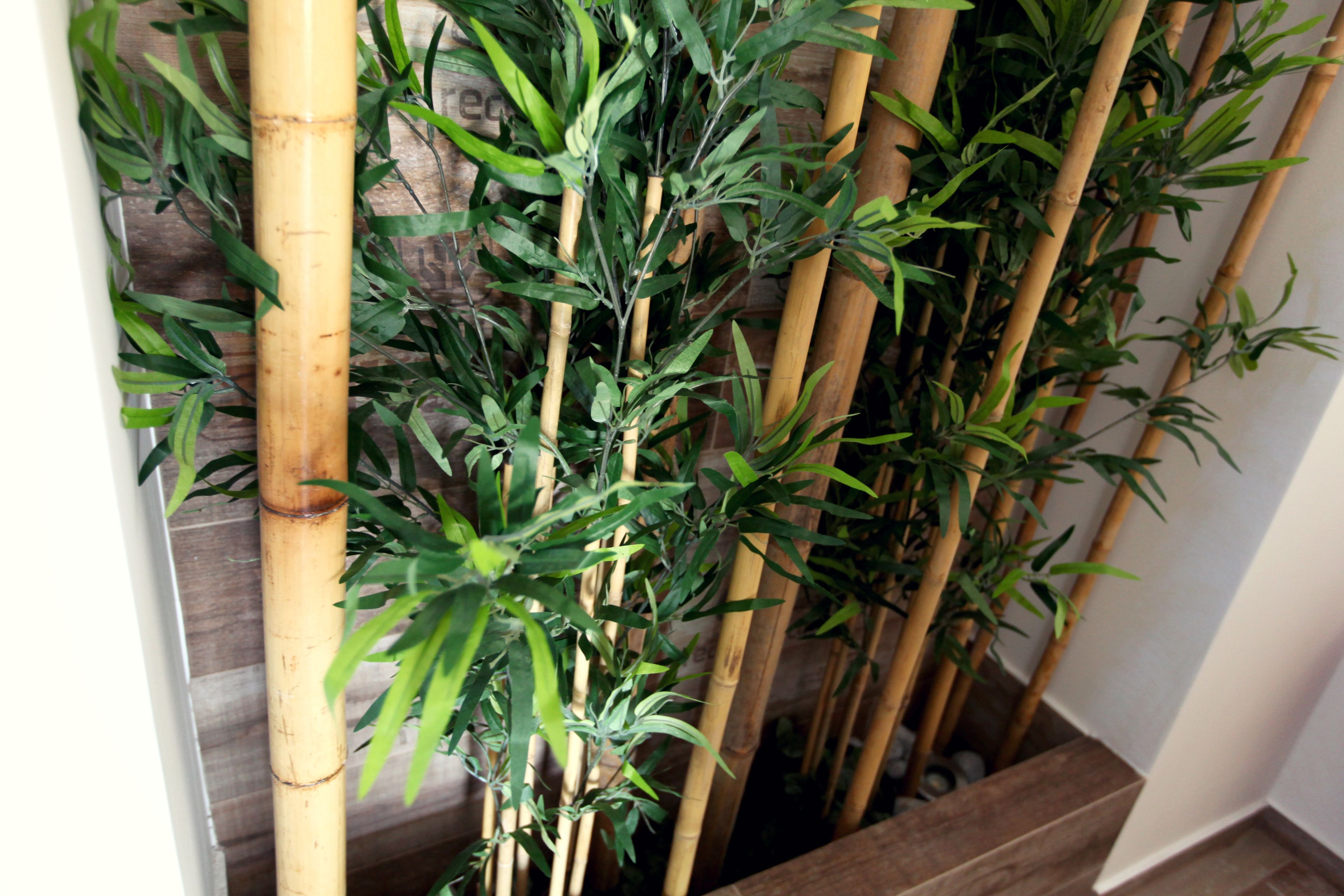Uma escadaria com plantas de bambu.