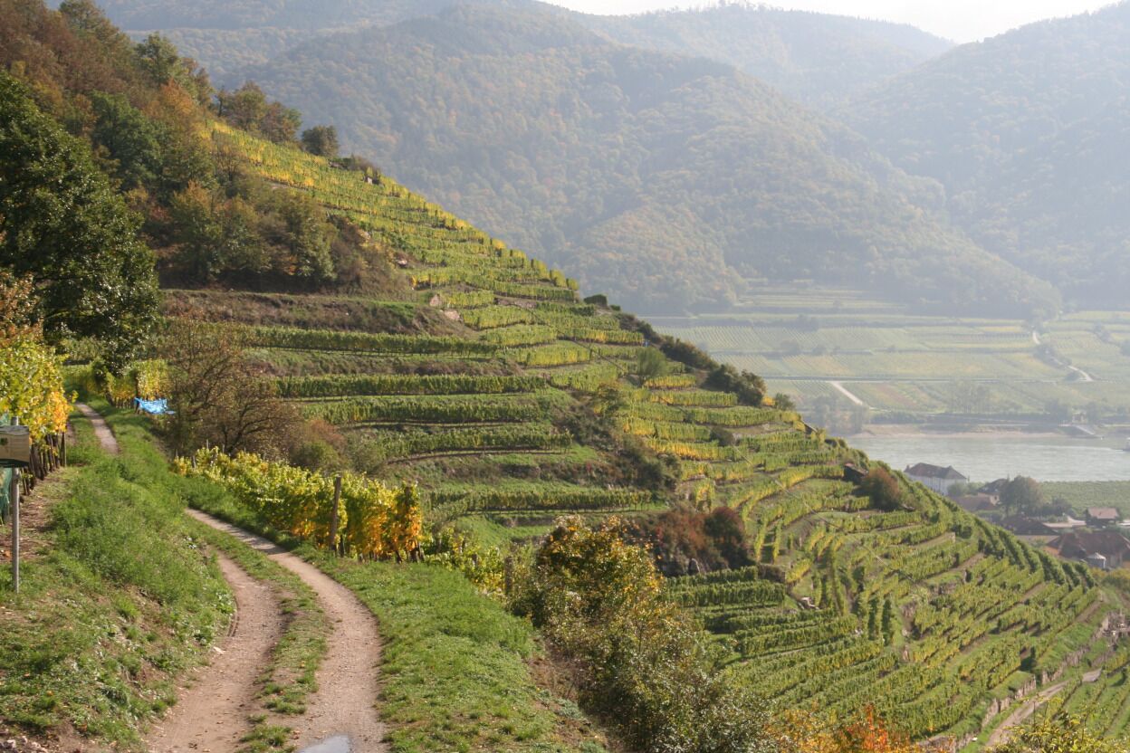 10 Best Farm Stays In Austria - Updated 2024 | Trip101