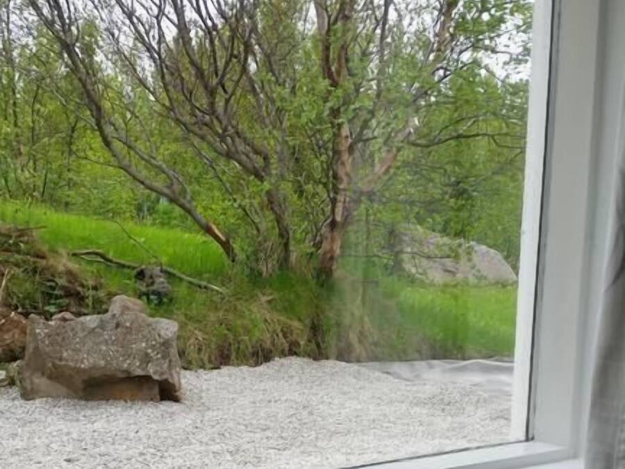 Secretária, cortinas/cortinados opacos, quartos insonorizados