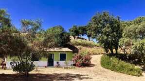 Uma casa pequena e térrea, com fachada verde e branca, rodeada por árvores e um caminho de terra que leva à entrada.