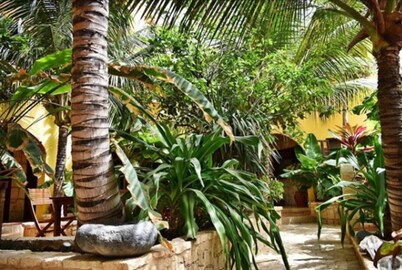 Orquidea Guest House