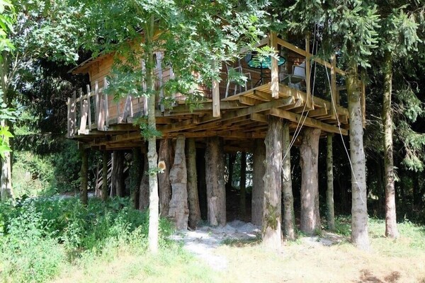 Cabane Dans Les Arbres - Tree House - Mayenne