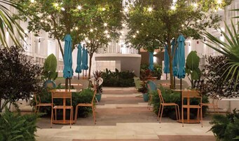 Terraço/pátio interior