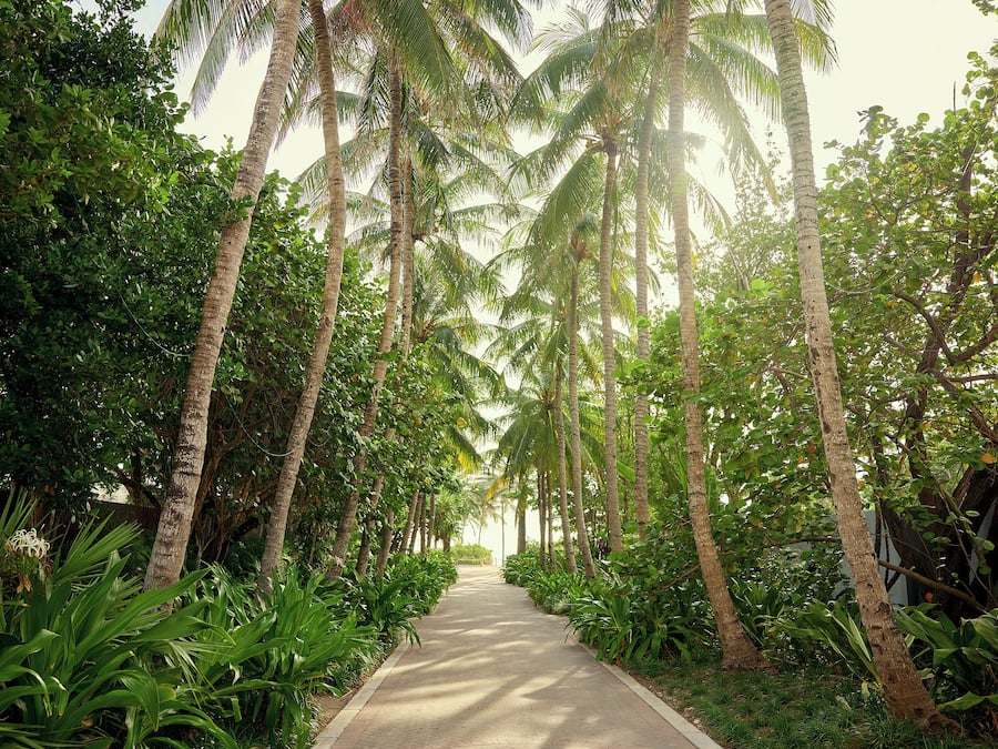 Perto da praia, espreguiçadeiras, toalhas de praia