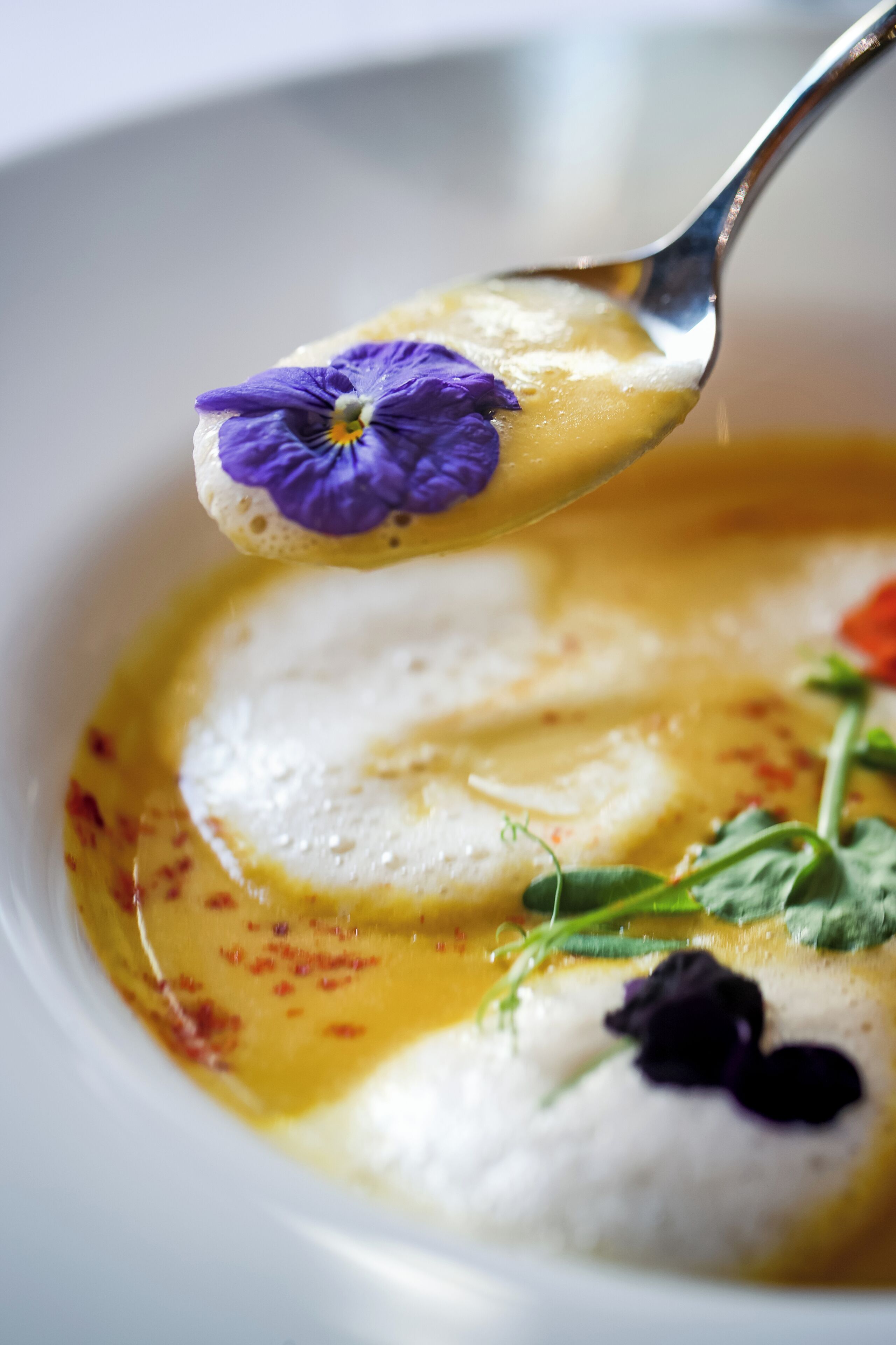 Uma colherada de sopa com uma flor roxa por cima.