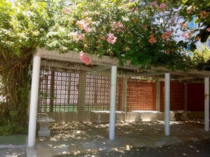 Jardim