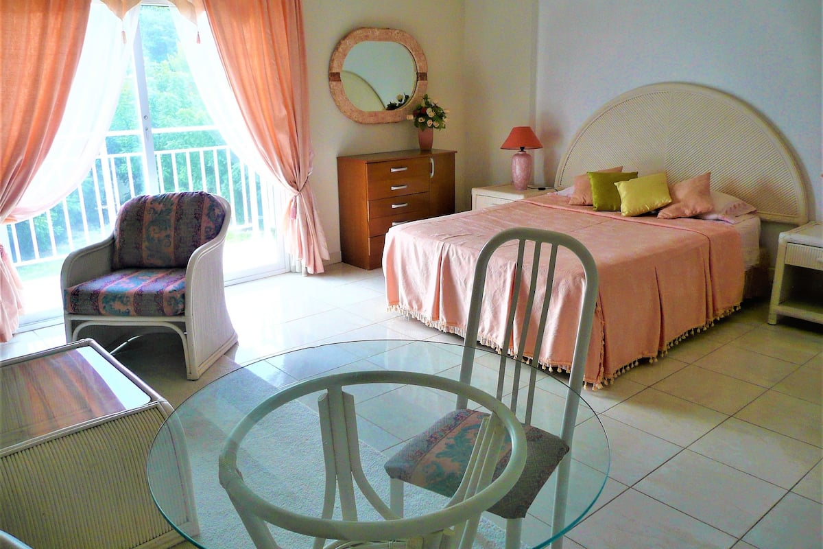 Estúdio, 1 cama Queen, para fumantes, vista para o jardim | Roupas de cama premium, cortinas blackout, ferros/tábuas de passar roupa