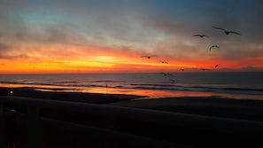 Um pôr do sol sobre uma praia com ondas e pássaros voando.