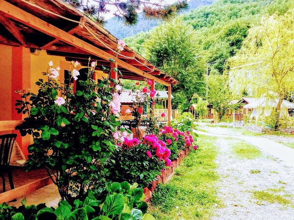 Domaine De L'amitié - Alpes-Maritimes