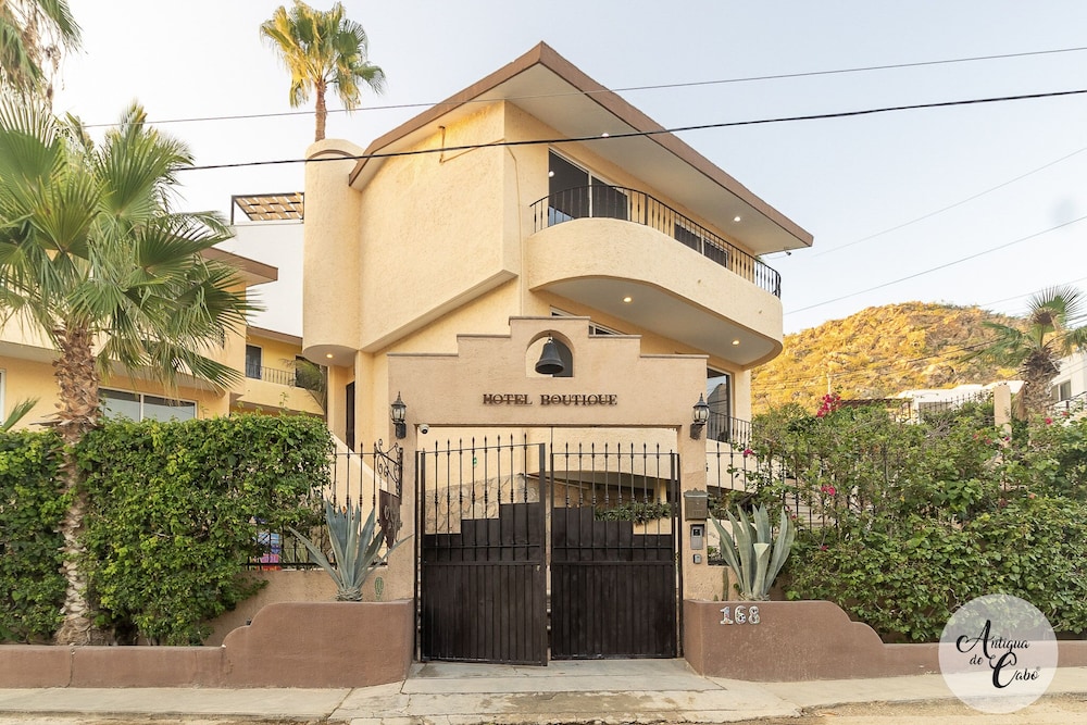 Antigua De Cabo - Cabo San Lucas