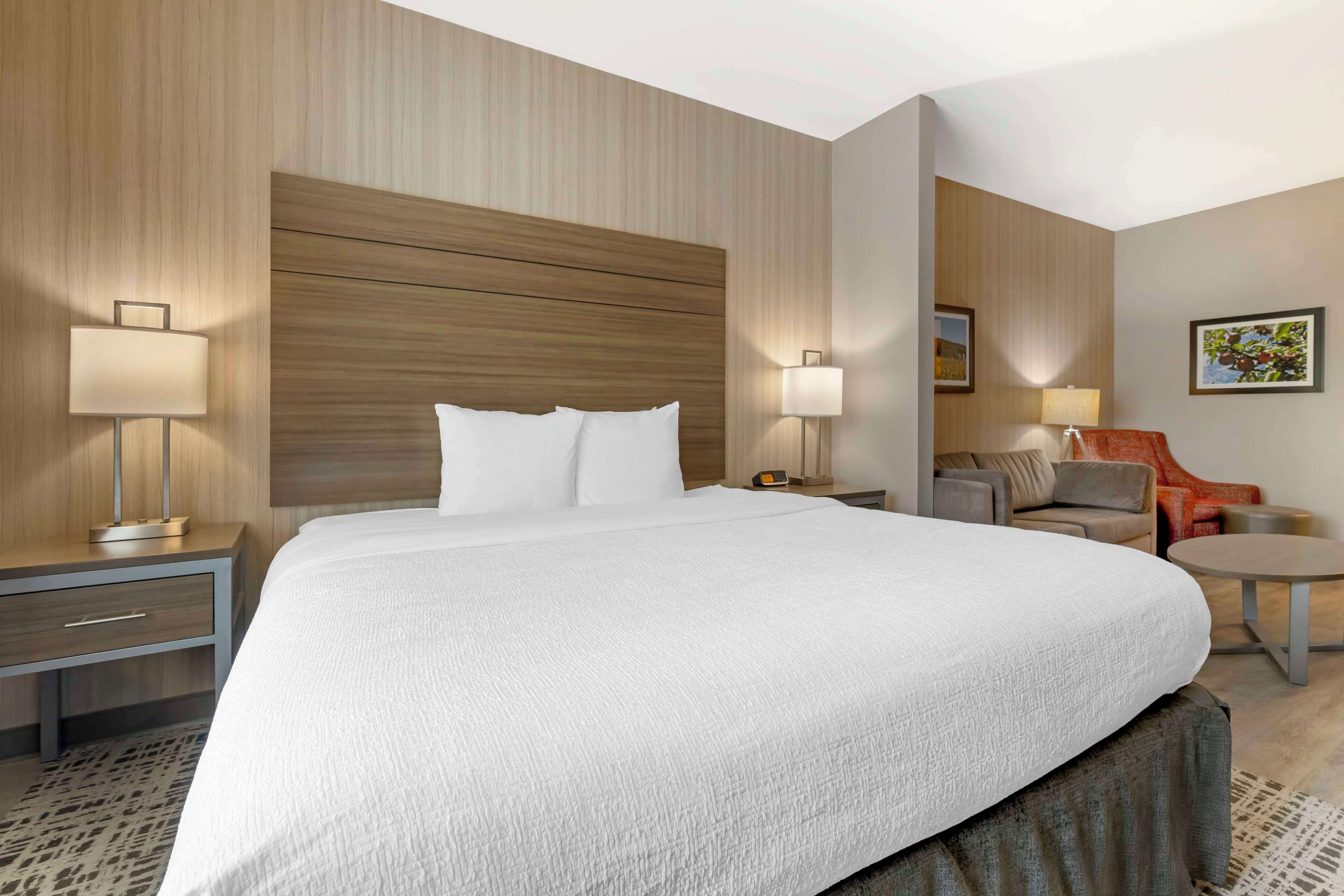 Quarto de hotel com uma cama grande, duas mesas de cabeceira com luminárias, um criado-mudo, um sofá e uma pequena mesa redonda.