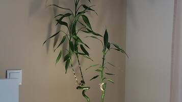 Suite, varanda, Vista para a cidade | Cortinas/cortinados opacos, ferro/tábua de engomar, Wi-fi grátis