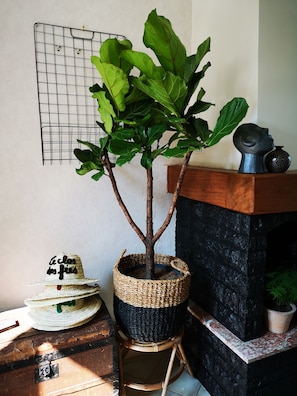 Café da manhã completo grátis todos os dias