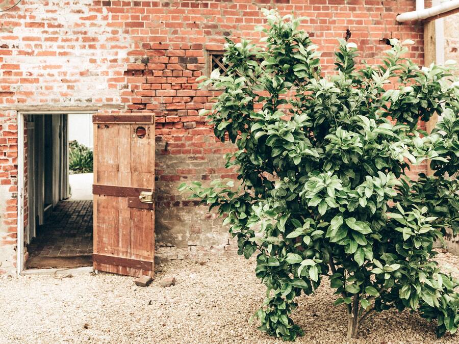 Uma porta de madeira aberta que dá para um edifício de tijolos, cercada por cascalho e um arbusto verde.