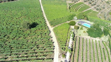 Vista aérea de um vinhedo com fileiras de videiras, um caminho de terra e um edifício com piscina.