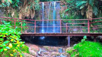 Uma ponte sobre uma cascata, com vegetação exuberante e um penhasco rochoso.