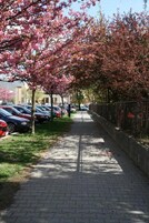 Terrenos do alojamento