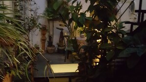 Um pequeno jardim murado com plantas em vasos e um banco.