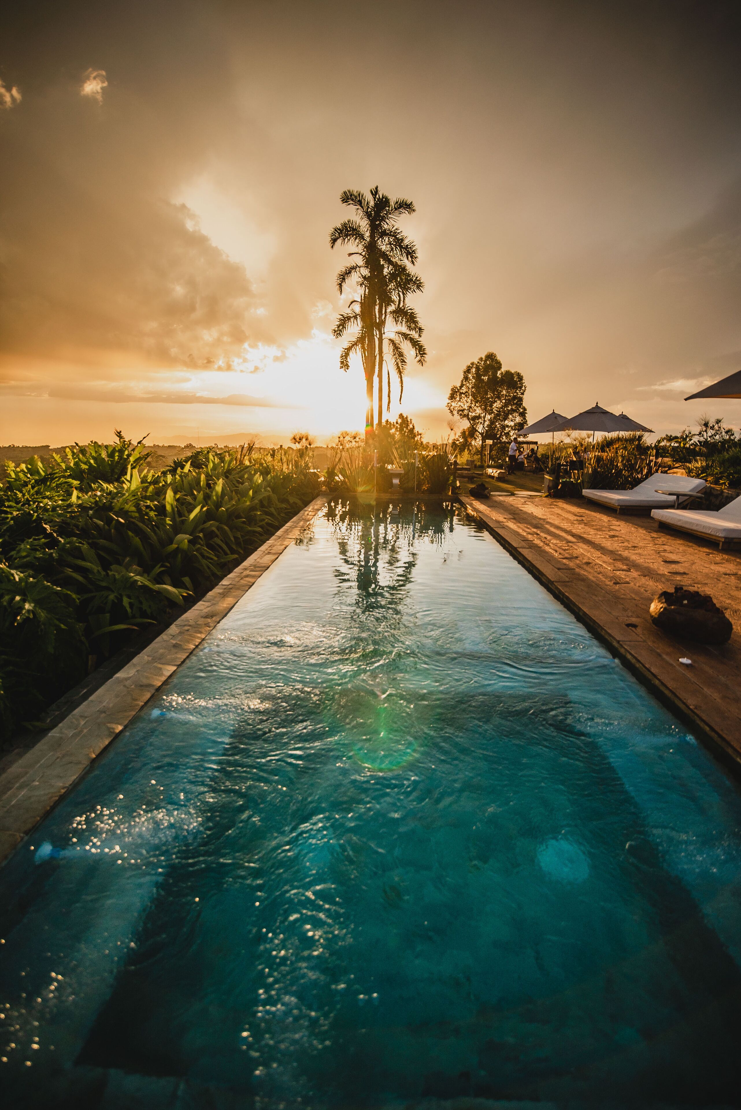 Piscina com vista para palmeiras e um pôr do sol.