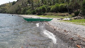 Um barco verde numa praia de pedras, com palmeiras e uma colina ao fundo.