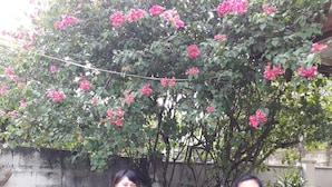 Duas mulheres com bagagem em frente a uma parede com plantas em vasos e arbustos floridos.