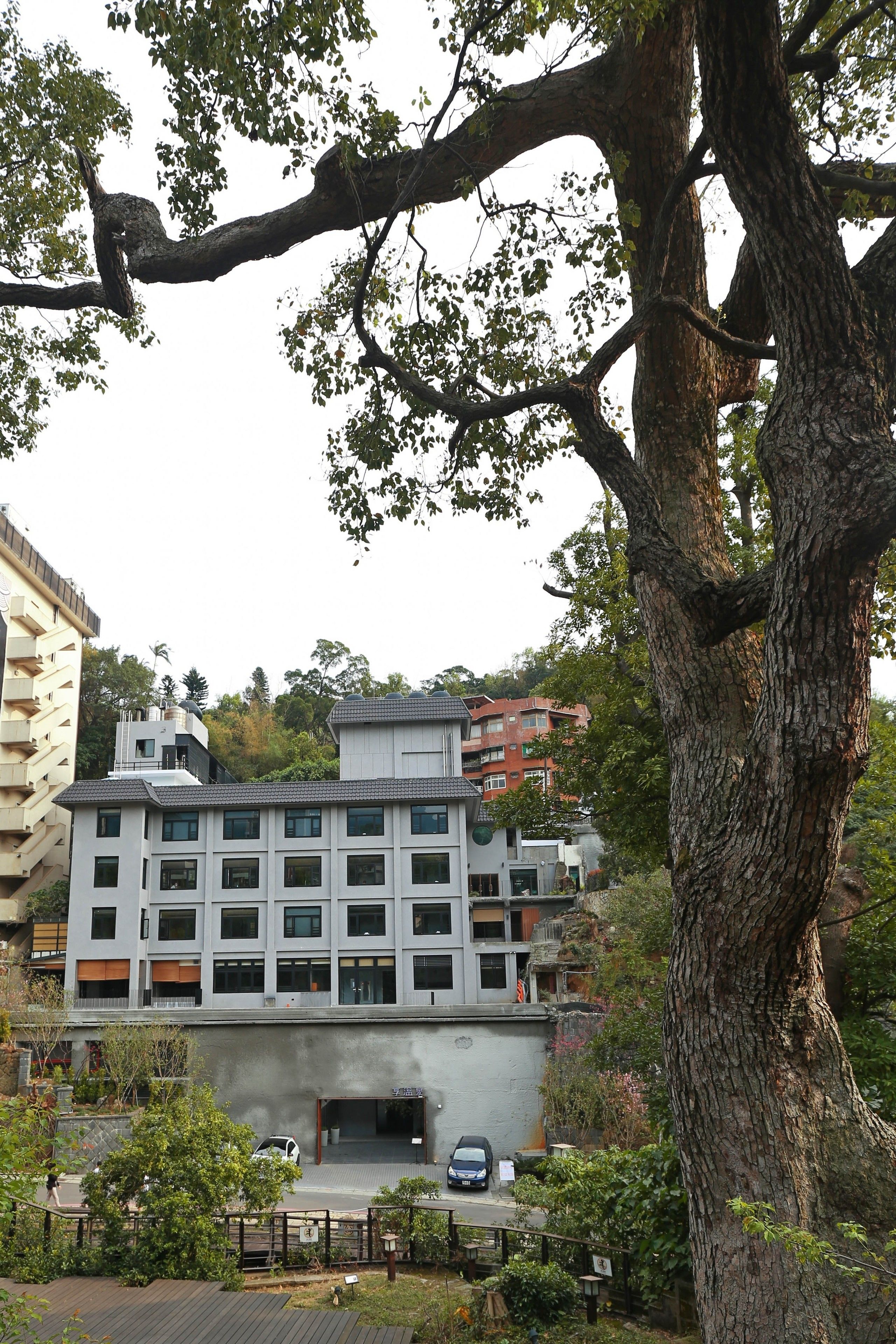 Um edifício com arquitetura moderna, apresentando um telhado plano e uma grande árvore em primeiro plano.