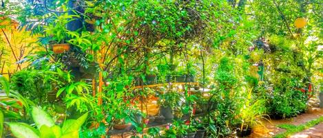 Terrenos do alojamento