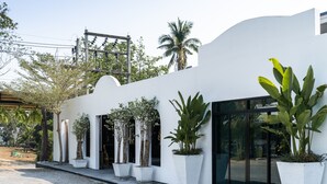 Um edifício moderno com paredes brancas, janelas amplas e plantas em vasos.