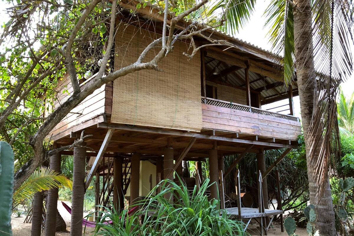 Uma casa na árvore de madeira com varanda, rodeada por vegetação tropical.