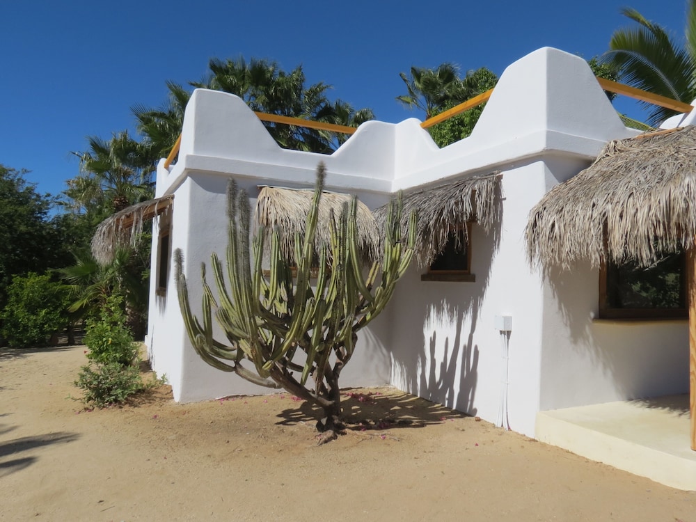 Villa Gardenia - Oceanfront Casa Studio - Todos Santos